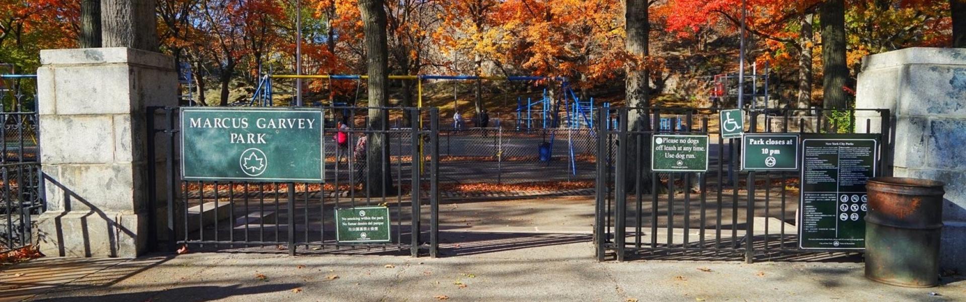 WiSH On The Go | WiSH Project